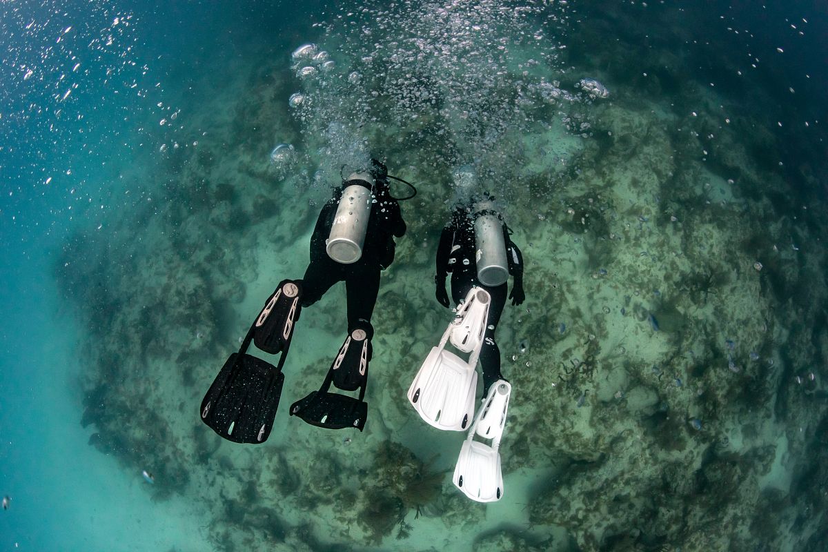 BECOME A PART OF THE INCLUSIVE SCUBA DIVING COMMUNITY - Johnson Outdoors