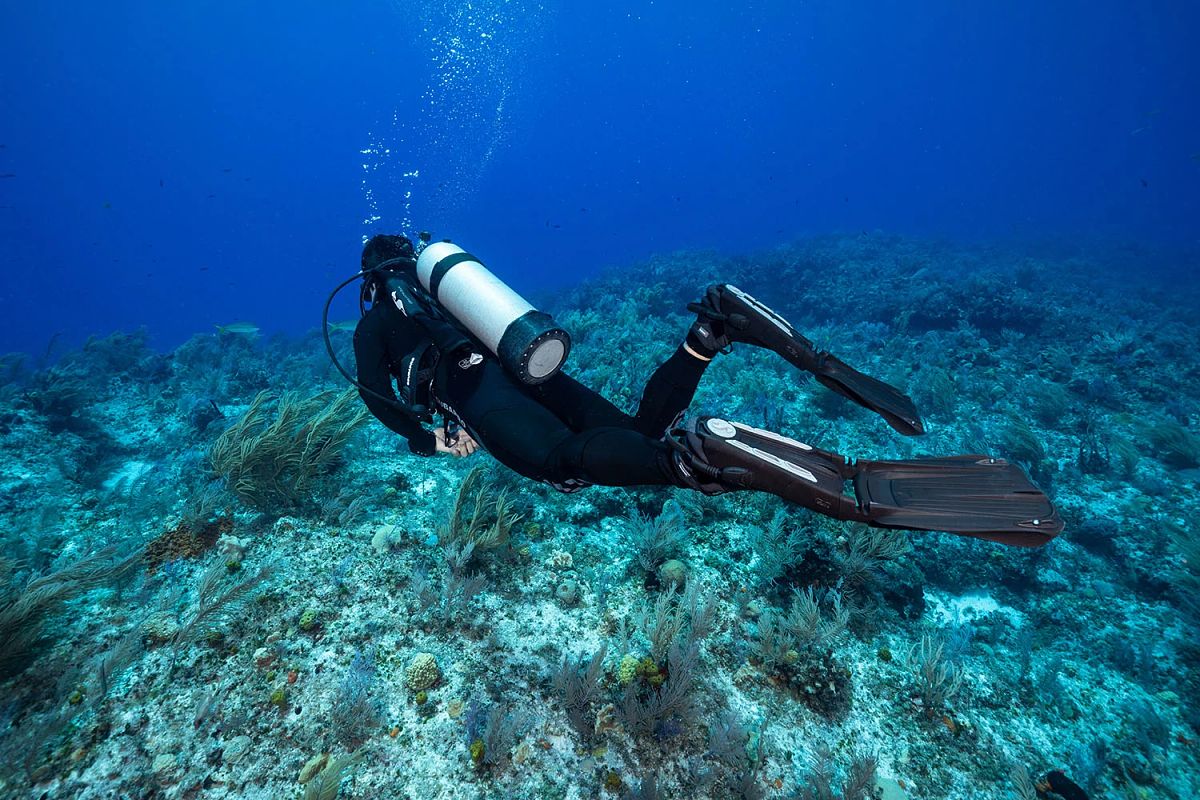 Raising Awareness Through Photography - Johnson Outdoors